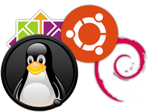 CentOS Dedicated Server Hosting|Unix Ubuntu Server Hosting